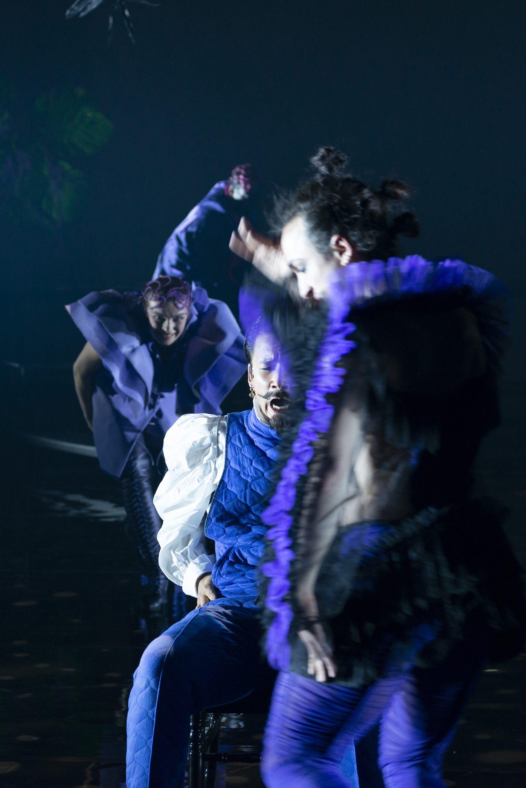 Midzomernachtsdroom - Introdans